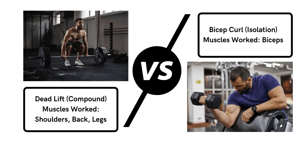 How To Lift Weights To Lose Fat For Overweight People