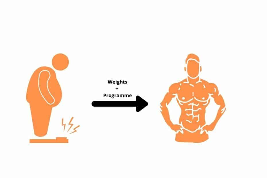 Lift Weights To Lose Fat (Definitive Weightlifting Guide)