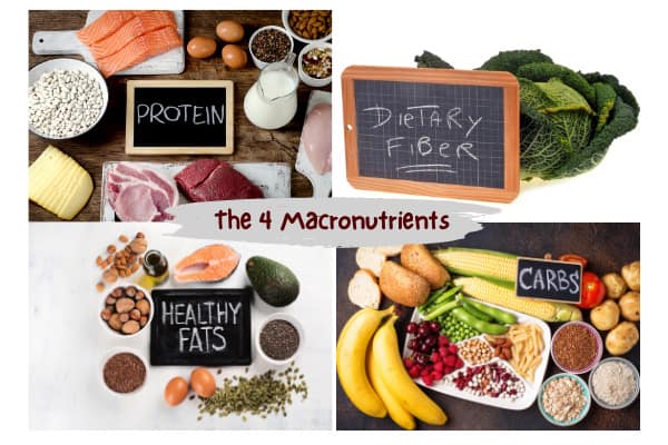 How To Eat 6 Meals A Day To Gain Muscle For A 130lb Guy How To Eat 6 Meals A Day To Gain Muscle For A 130lb Guy