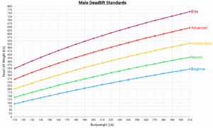 8 Deadlift Statistics For Men And Women (In 2023)
