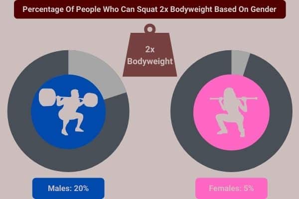 11 Of The Best Squat Statistics And Findings (For 2021)