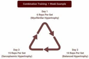 3 vs 4 Sets: Which Is Better For Muscle Hypertrophy?