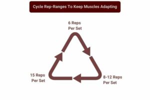 3 vs 4 Sets: Which Is Better For Muscle Hypertrophy?