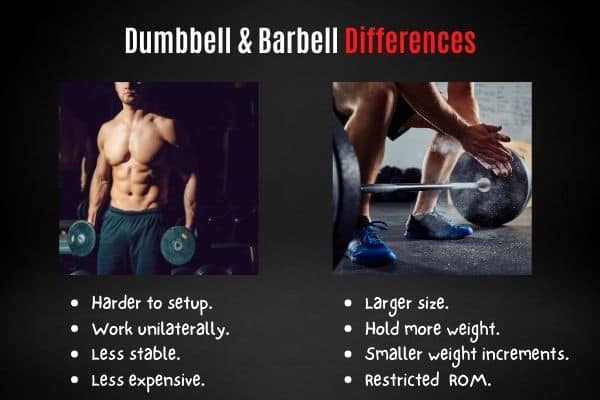 Dumbbells Vs Weights A Definitive Guide To The Differences