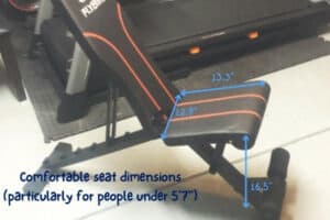 The Best Flybird Bench (analyzing & comparing the 3 models)
