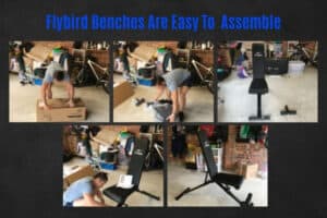 The Best Flybird Bench (analyzing & comparing the 3 models)