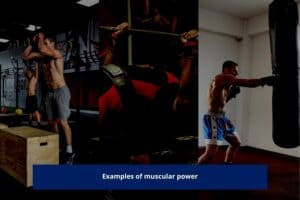 Repetition Maximum Guide: What It Is & How To Use It