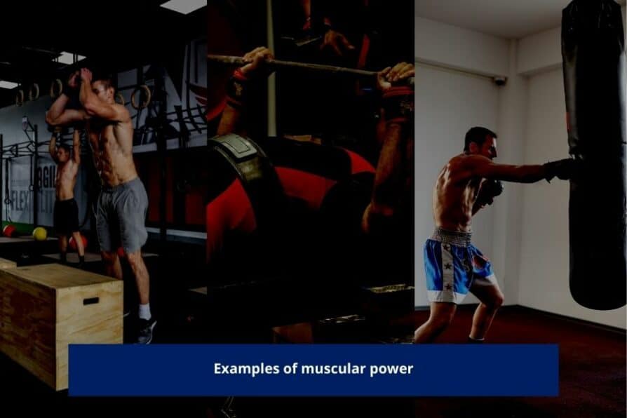 Repetition Maximum Guide: What It Is & How To Use It