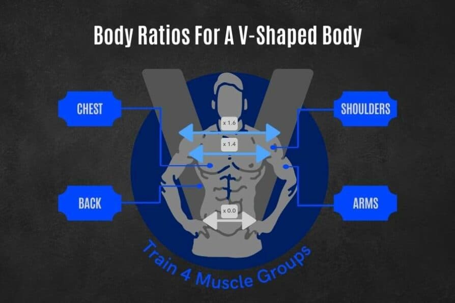 Get A V-Shaped Body With Dumbbells (complete workout guide)