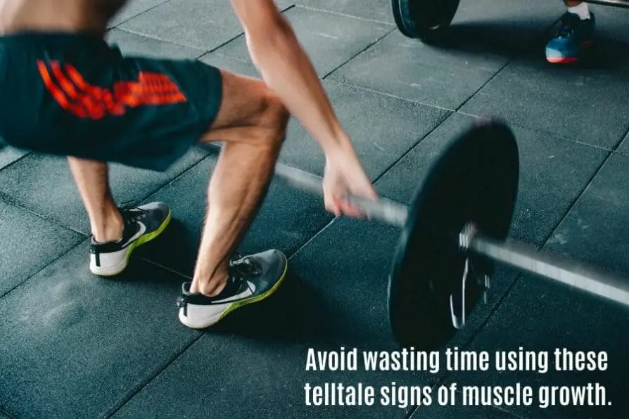 13 Signs You Are Getting Stronger (and building muscle)