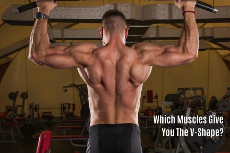 8 Muscles That Give You The V-Shape (and how to train them)