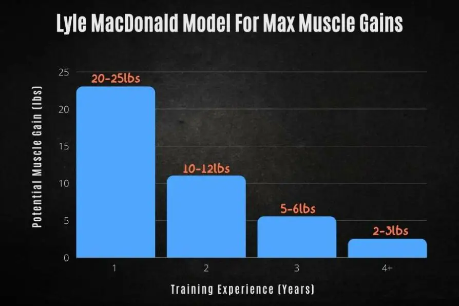 How Much Muscle Can You Gain In 2 Years? (realistically)