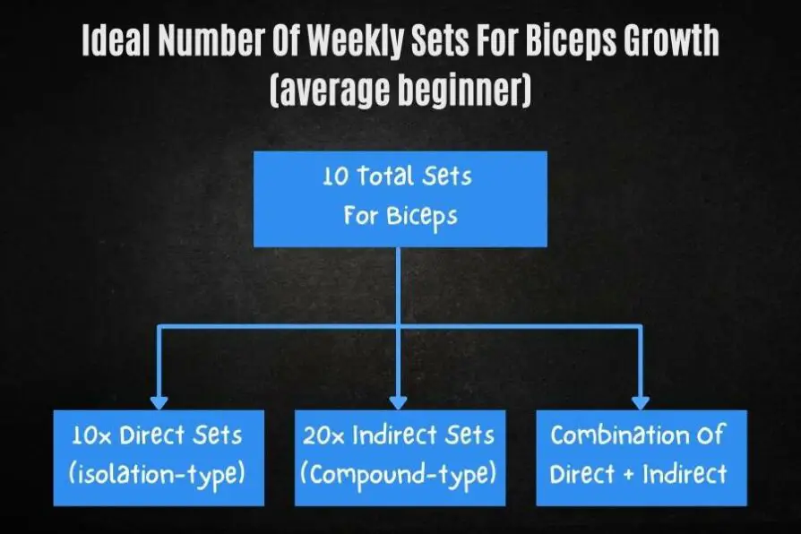 How Many Exercises For Biceps Growth? (& how to choose)