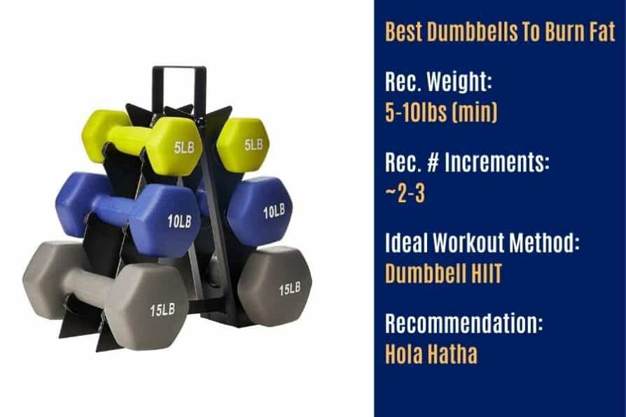 9 Best Dumbbells For Beginners (burn fat, tone, build muscle)