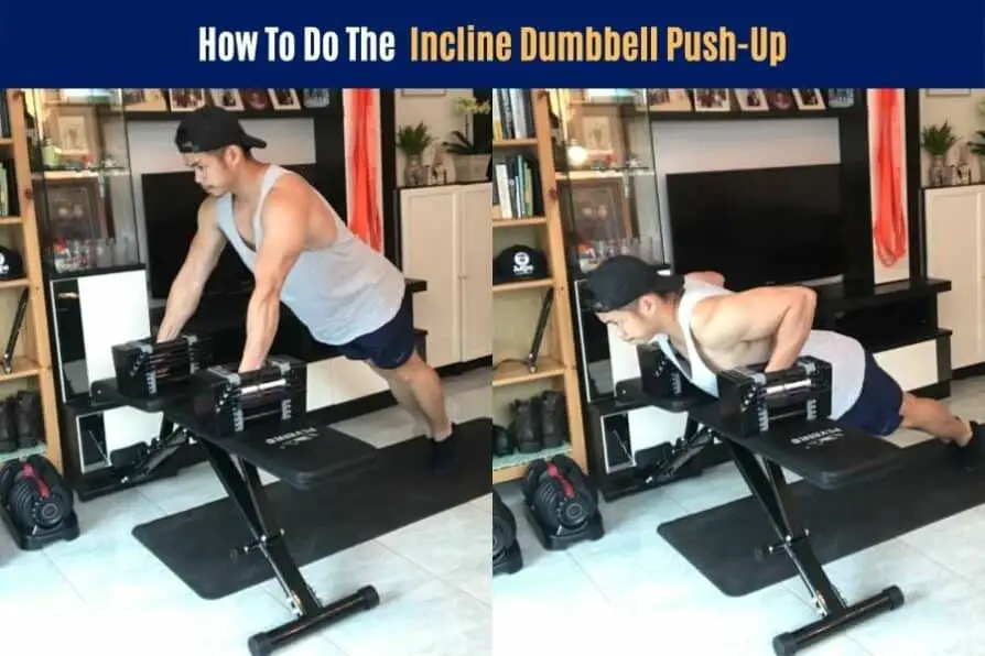 9 Dumbbell Push-Up Variations (beginner to advanced)