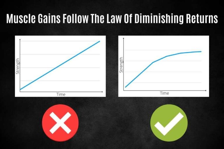 How Strong You Can Get In 6 Months (as a natural lifter)