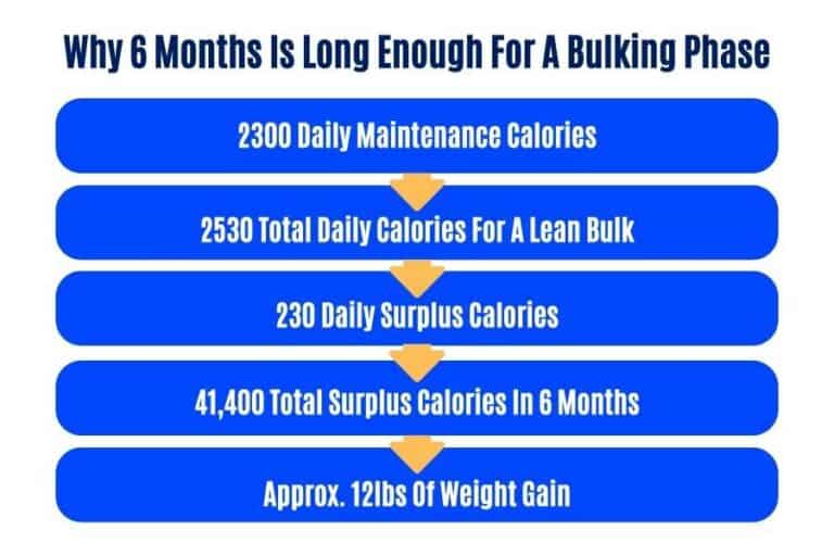 Are 6 Months Long Enough For A Bulk?