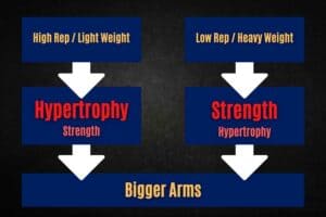 High Vs Low Reps For Bigger Arms (biceps & triceps)