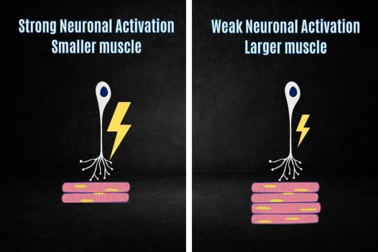 Why You Can Be Skinny And Strong (& how to do it)